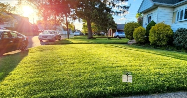 Providing Outstanding Lawn Care Results - Green Lawn Fertilizing