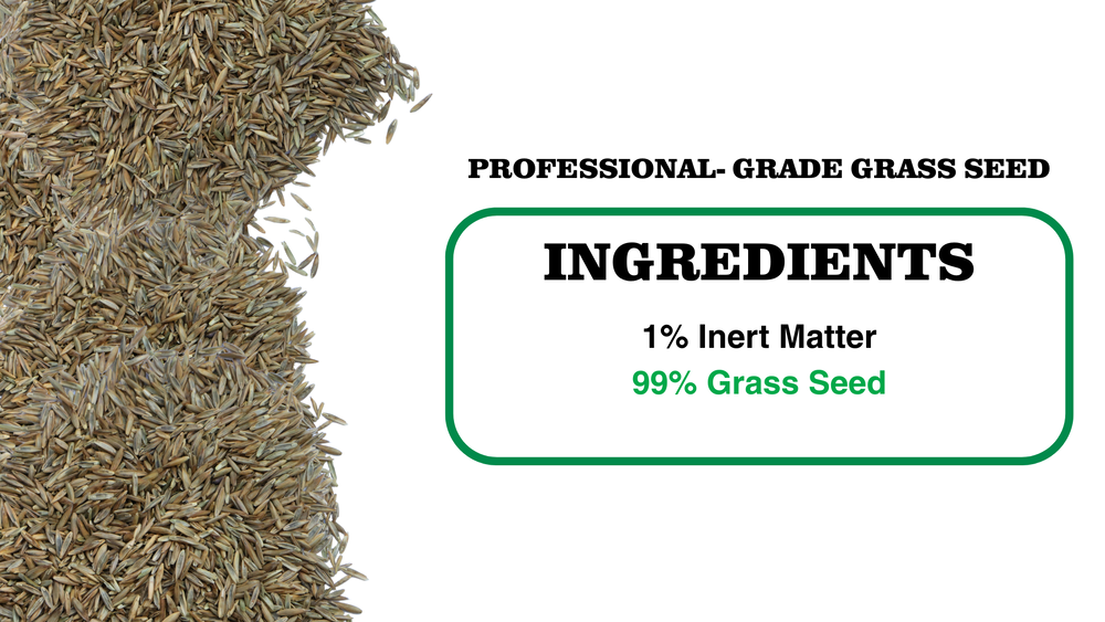 Professional Grade Grass Seed vs. Big Box Store Grass Seed