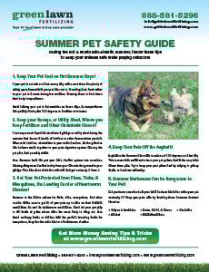 Summer Pet Safety Guide