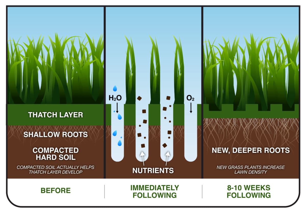 Slice Seeding vs Hydroseeding vs Overseeding vs Sod: Which is Best? - Green Lawn Fertilizing