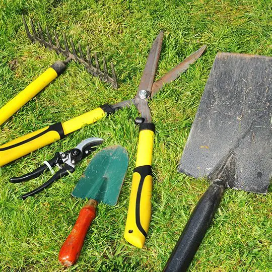 Lawn Care Tools: The Five Essentials Every Homeowner Needs