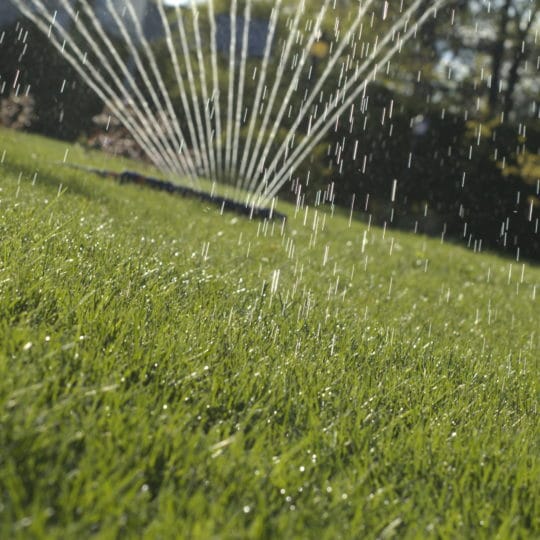 How to Water Your Lawn Correctly - Green Lawn Fertilizing